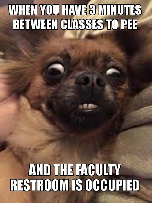 when you have 3 minutes between classes to pee and the faculty restroom ...