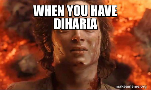 when you have diharia - Frodo it's over it's done Meme Generator