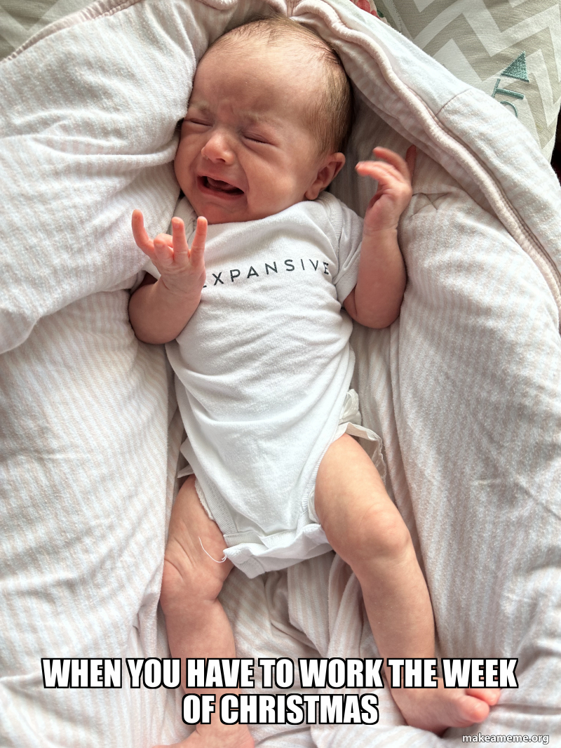 WHEN YOU HAVE TO WORK THE WEEK OF CHRISTMAS Meme Generator