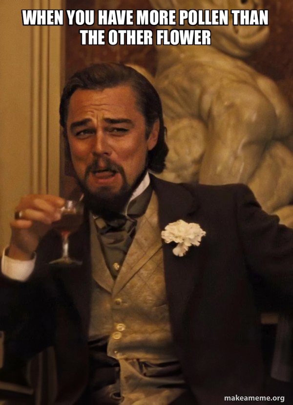 When you have more pollen than the other flower - Leonardo DiCaprio ...