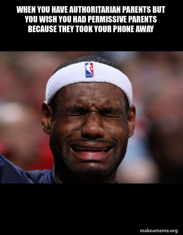 when you have authoritarian parents but you wish you had permissive ...