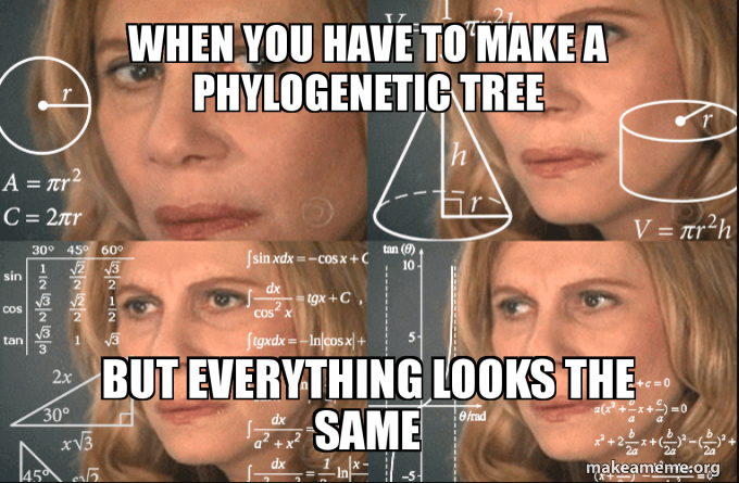 When you have to make a phylogenetic tree but everything looks the same ...