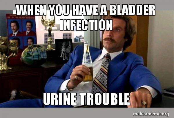 Urinary Tract Infection Memes Uti & Urinary Tract Infections In Dogs!