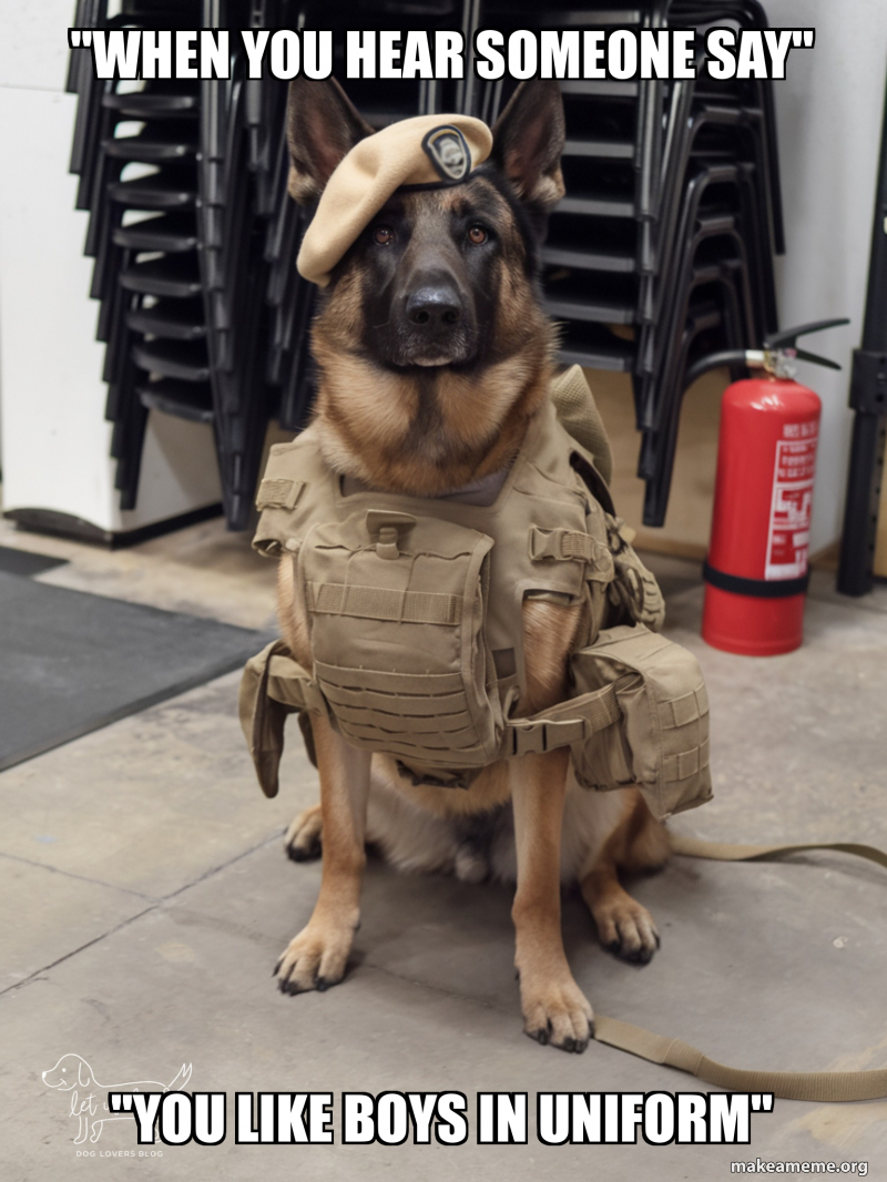 "When you hear someone say" "You like boys in uniform" - So Tracey ...