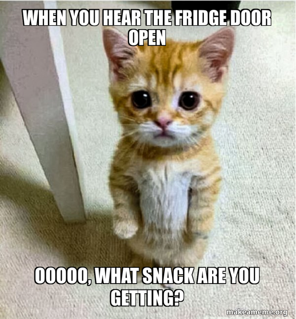 When you hear the fridge door open Ooooo, what snack are you getting ...