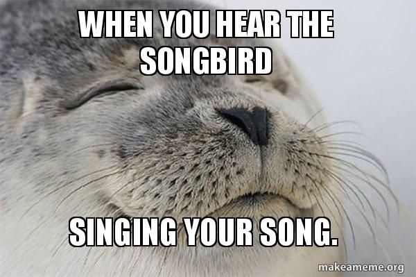 Songbird Memes I've Been Called The Songbird Of My Generation Hahaha