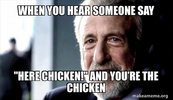 When you hear someone say "Here chicken!" and you’re the chicken - I ...
