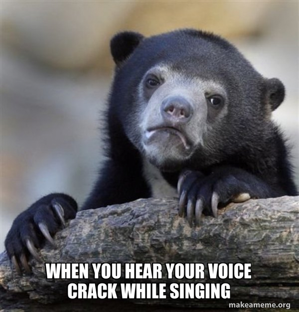 when you hear your voice crack while singing - Confession Bear Meme ...