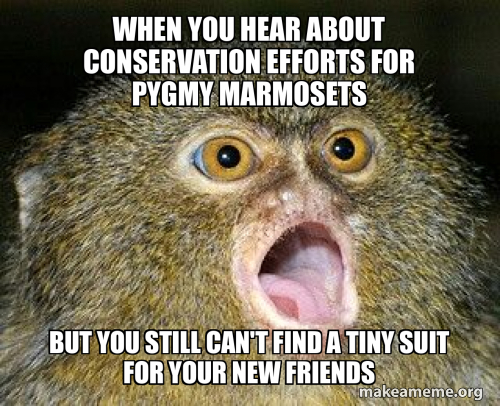 When you hear about conservation efforts for pygmy marmosets But you ...