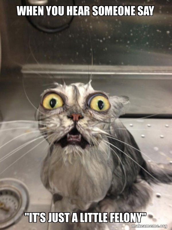 When you hear someone say "It's just a little felony" - Cat bath Meme ...