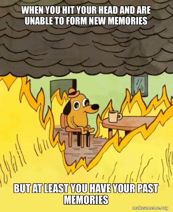 When you hit your head and are unable to form new memories but at least ...