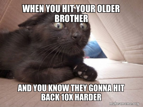 When you hit your older brother and you know they gonna hit back 10x ...