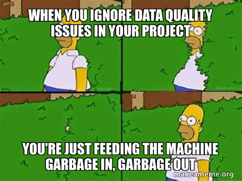 When you ignore data quality issues in your project You're just feeding ...