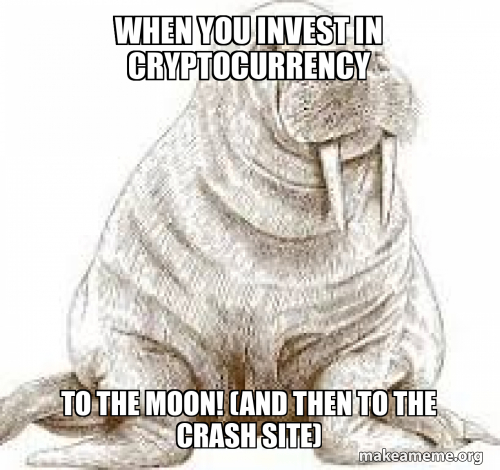 When you invest in cryptocurrency To the moon! (And then to the crash ...