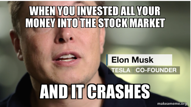 when you Invested all your money into the stock market and it crashes ...