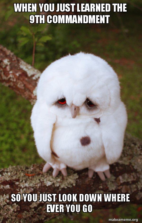 when you just learned the 9th commandment so you just look down where ...