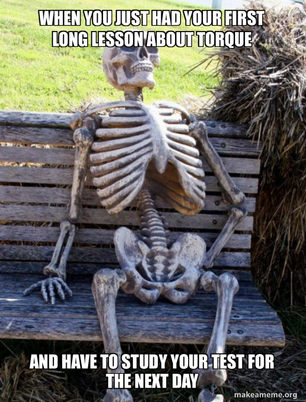 When you just had your first long lesson about torque and have to study ...