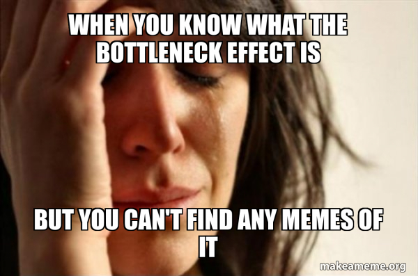 When you know what the bottleneck effect is but you can't find any ...