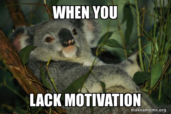 WHEN YOU LACK MOTIVATION - Laid Back Koala Meme Generator