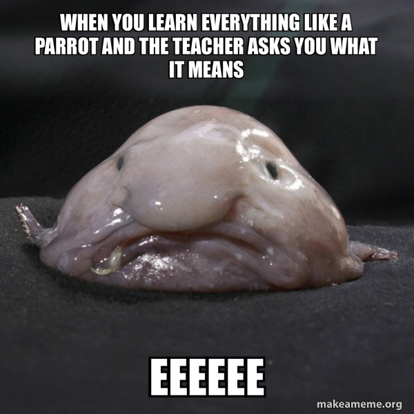 When you learn everything like a parrot and the teacher asks you what ...