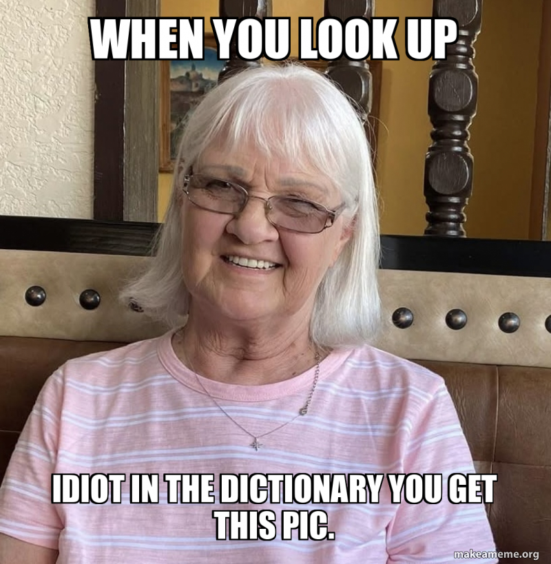 When you look up Idiot in the dictionary you get this pic. Meme Generator