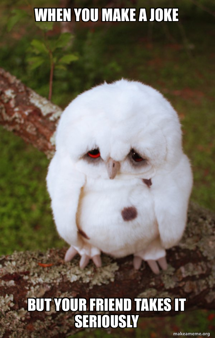 when you make a joke but your friend takes it seriously - Sad Owl Meme ...