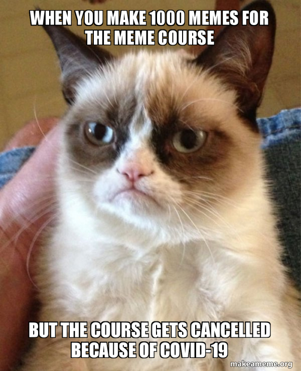When you make 1000 memes for the meme course But the course gets ...