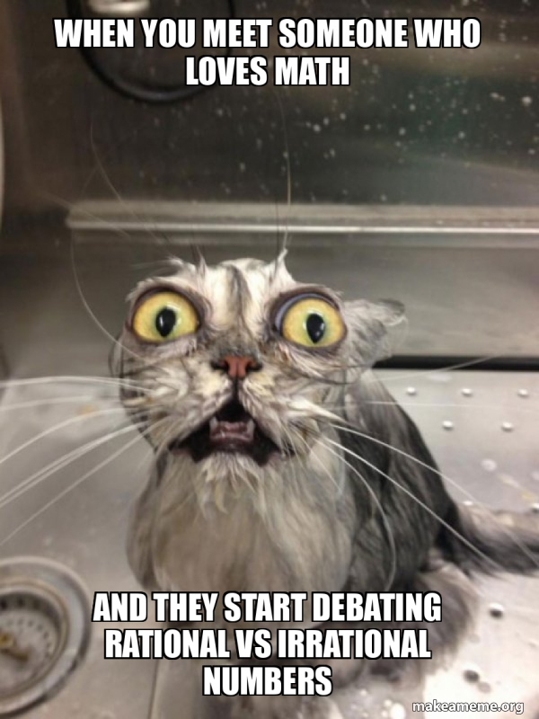 When you meet someone who loves math And they start debating rational ...