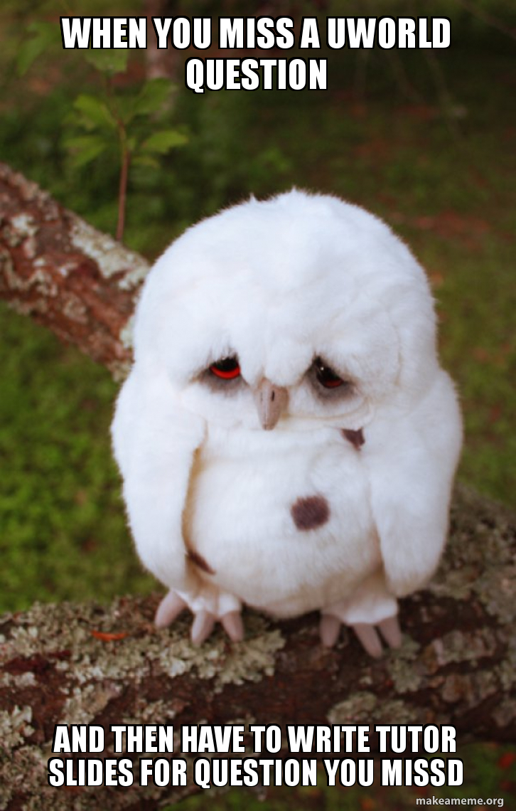 When you miss a UWorld Question and then have to write tutor slides for ...