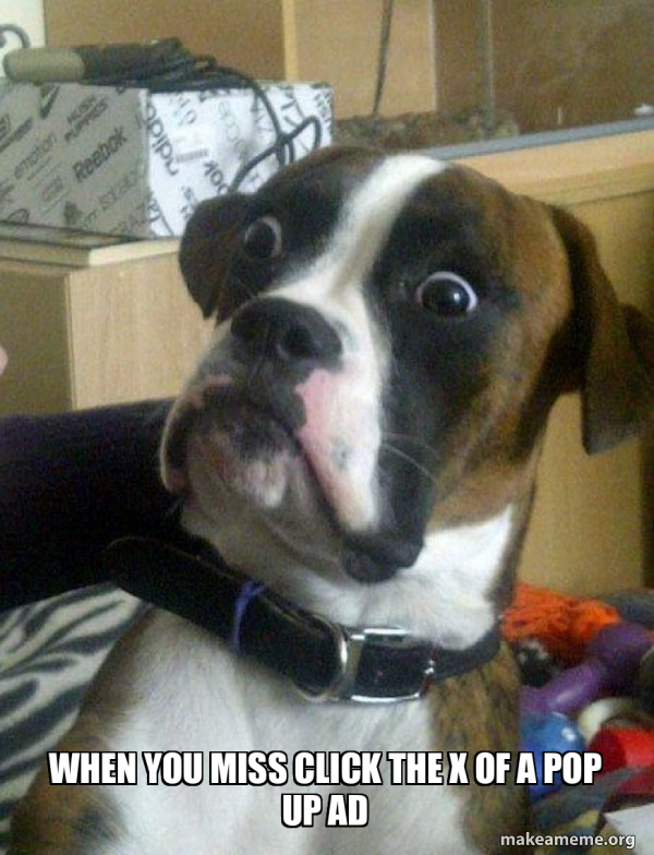 When you miss click the x of a pop up ad - Skeptical Dog Meme Generator