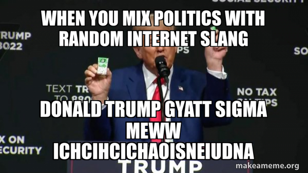 When you mix politics with random internet slang Donald Trump gyatt ...