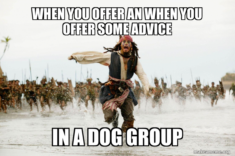 When you offer an When you offer some advice In a dog group Meme Generator