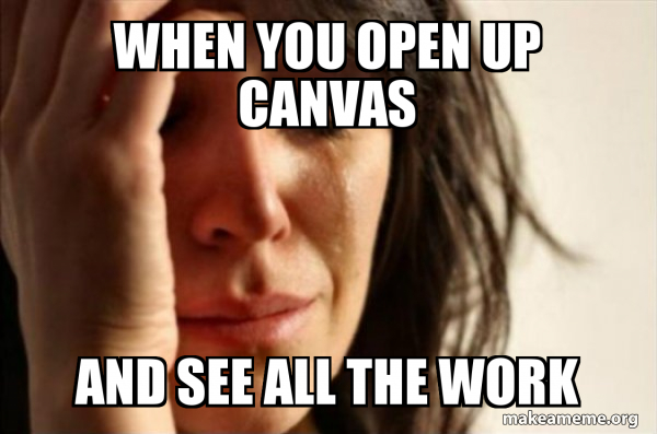 When you open up canvas And see all the work - First World Problems ...