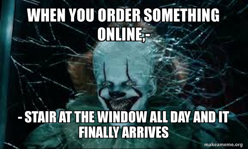 when you order something online,- - stair at the window all day and it ...