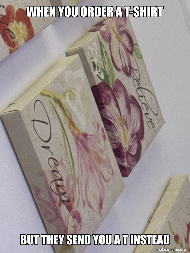 When you order a T-shirt But they send you a T instead Meme Generator