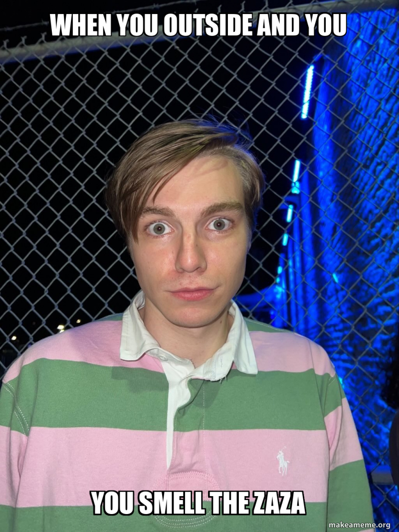 When You outsIde and you You smell the zaza Meme Generator