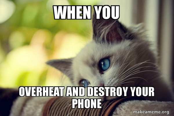 When you Overheat and destroy your phone - First World Cat Problems ...