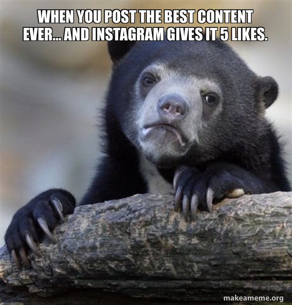 When you post the BEST content ever… and Instagram gives it 5 likes ...