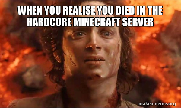 when you realise you died in the hardcore minecraft server - Frodo it's ...