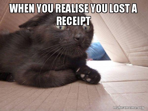 When you realise you lost a receipt - Schitzo Cat Meme Generator