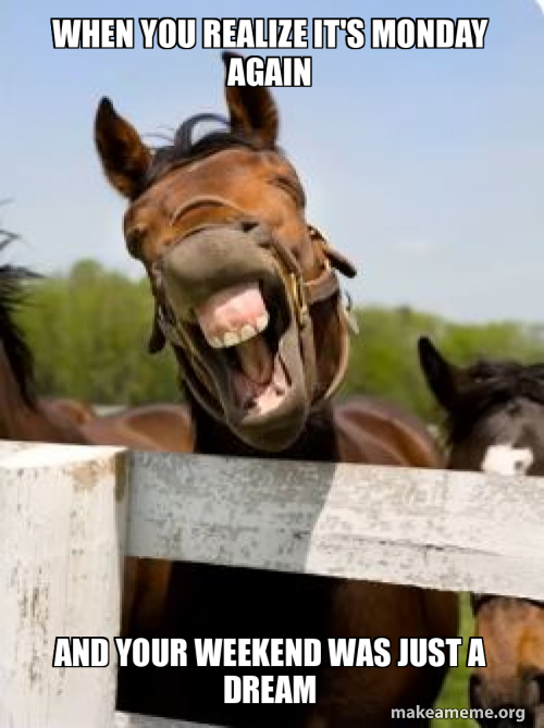 When you realize it's Monday again And your weekend was just a dream ...