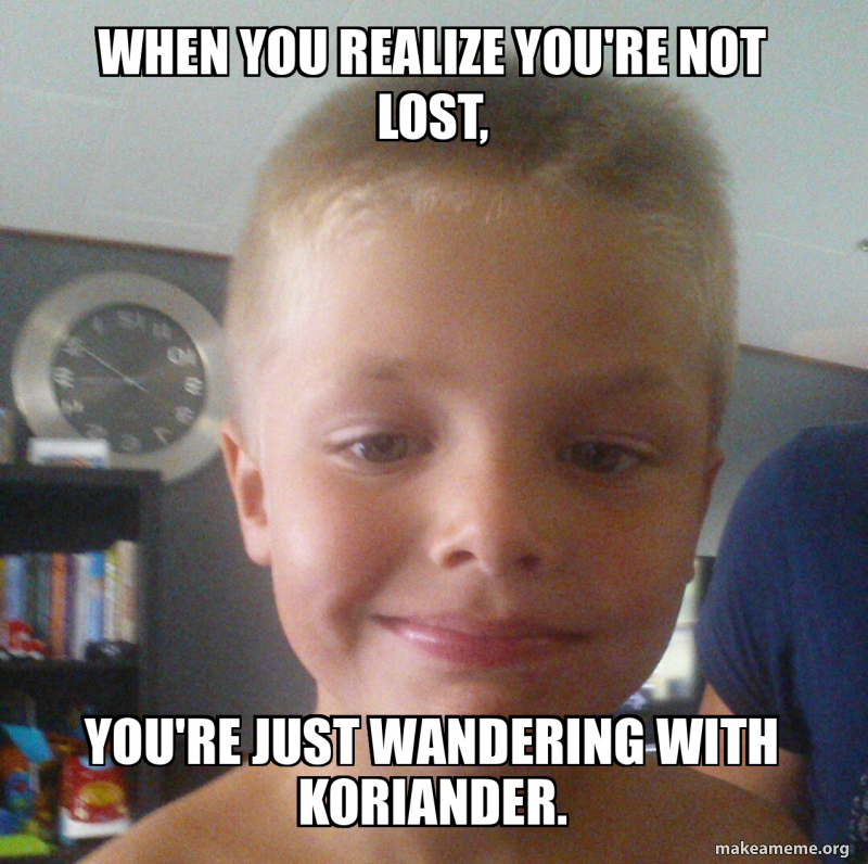 When you realize you're not lost, You're just wandering with koriander ...