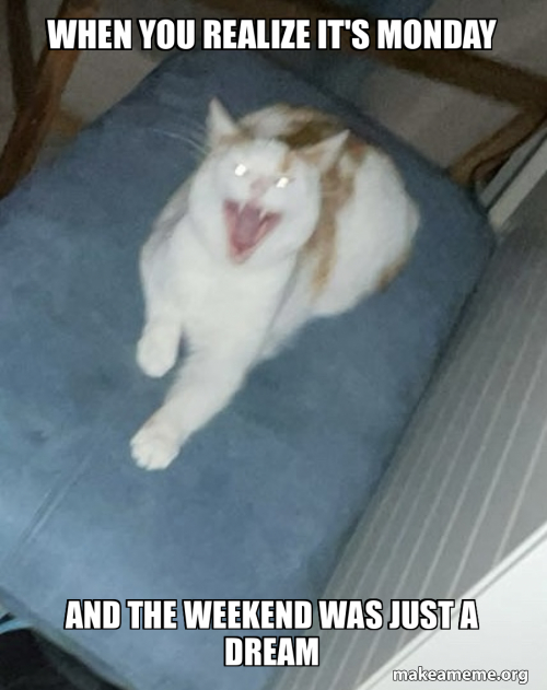When you realize it's Monday And the weekend was just a dream Meme ...