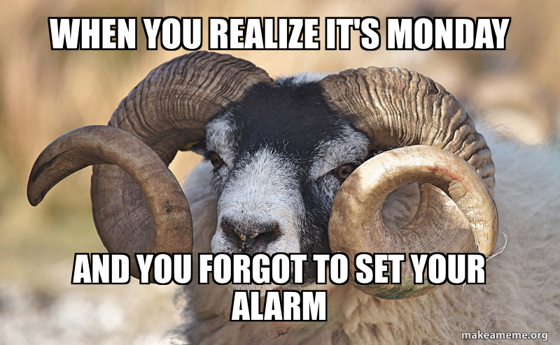When you realize it's Monday And you forgot to set your alarm Meme ...