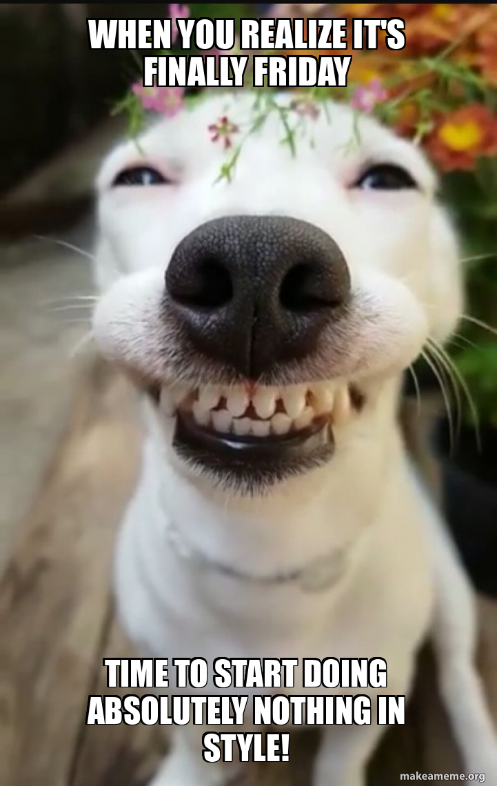 When you realize it's finally Friday Time to start doing absolutely ...