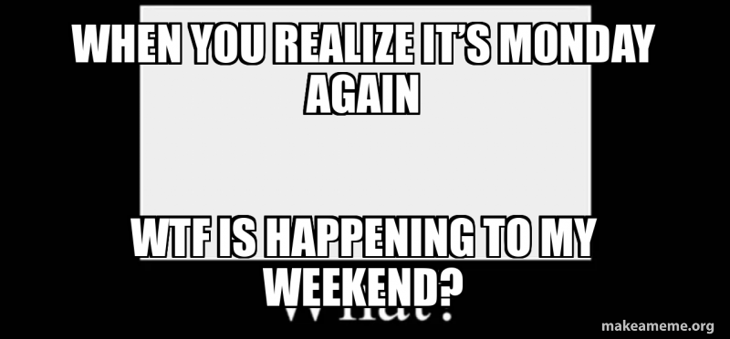 When you realize it’s Monday again Wtf is happening to my weekend? Meme ...