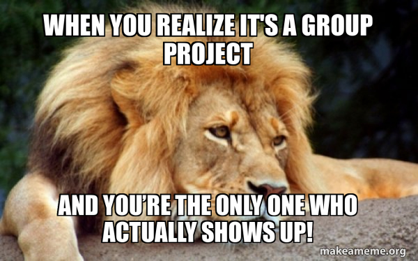 When you realize it's a group project And you’re the only one who ...