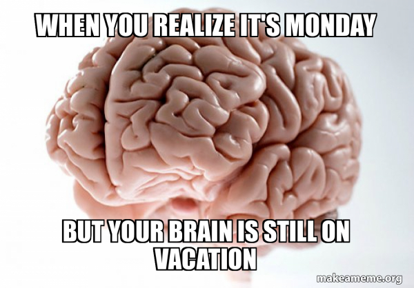 When you realize it's Monday But your brain is still on vacation ...