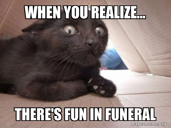 When you realize... THERE'S FUN IN FUNERAL - Schitzo Cat Meme Generator