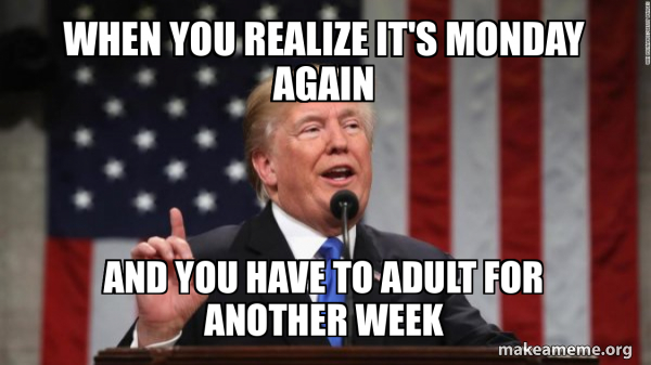 When you realize it's Monday again And you have to adult for another ...